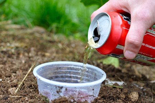 Kā vēl var lietot alu? - Mia.lv